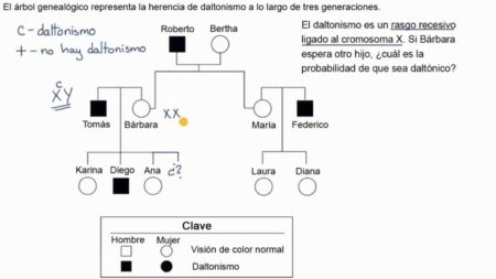 Árbol genealógico genético: estudio de 3 generaciones – GENEALÓGICO