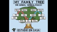 Guía para Crear un Árbol Genealógico Familiar en Inglés | Actualizado ...